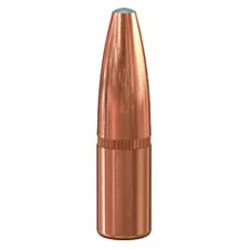 Bullets - Precision Reloading